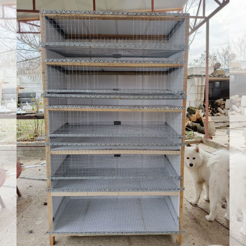 Клетки для перепелов