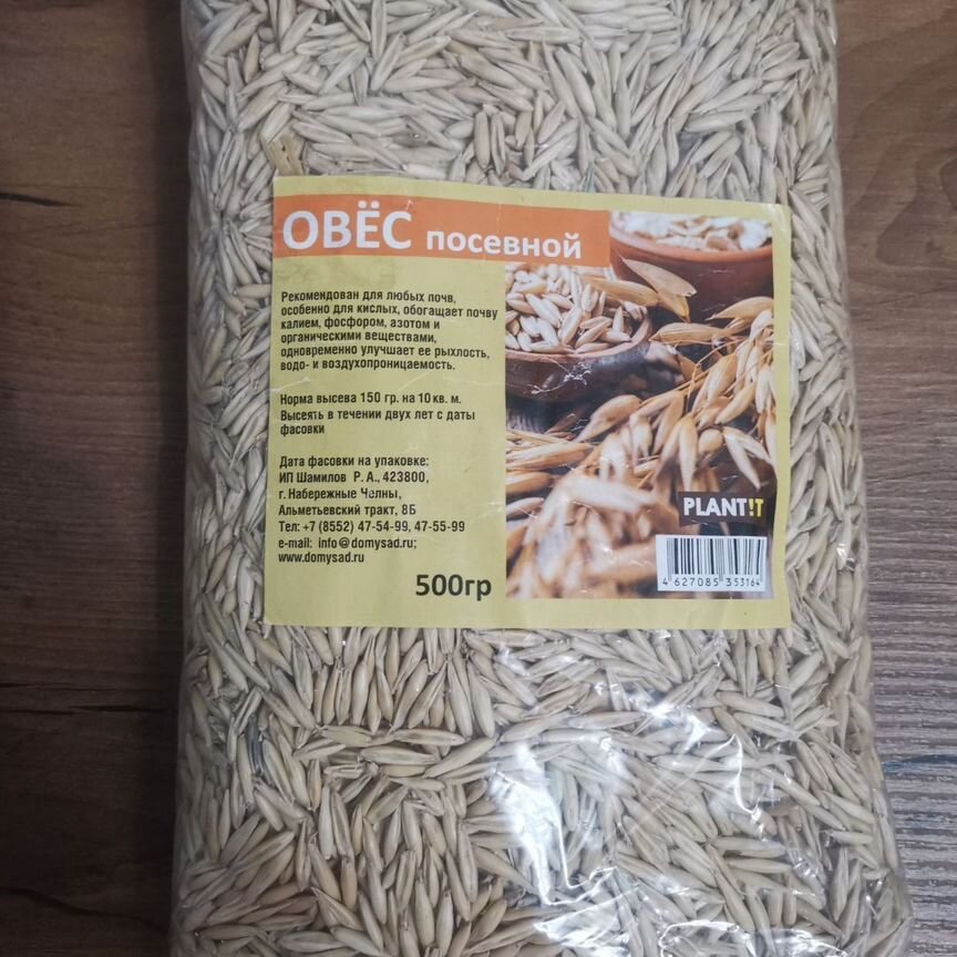 Овес посевной