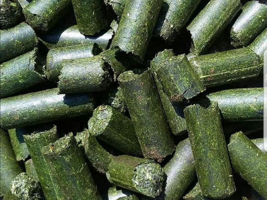 Люцерна в гранулах