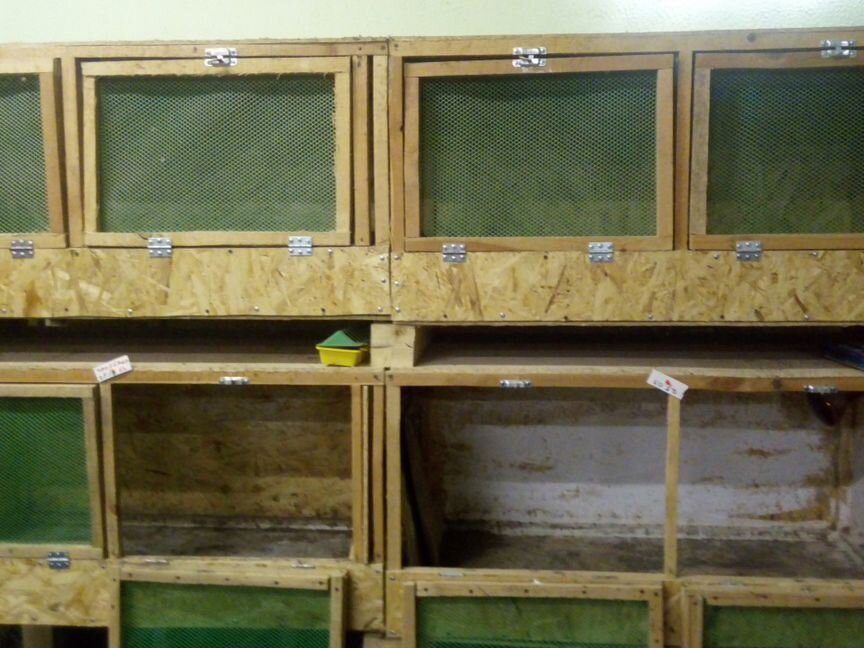 Продам брудеры для птенцов