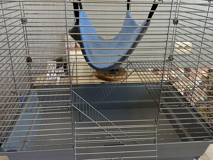 Клетка для грызунов большая