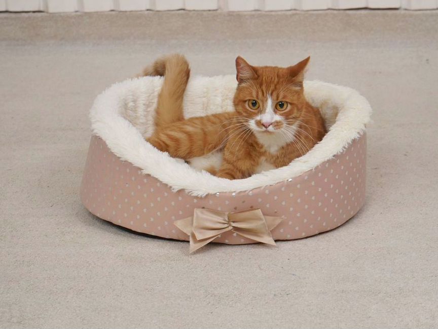 Игровой комплекс для кошки