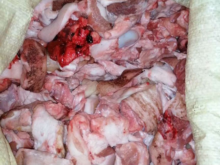 Обрезь свинина для собак