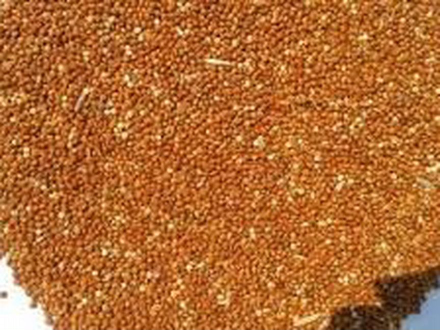 Продаю: просо, тритикале