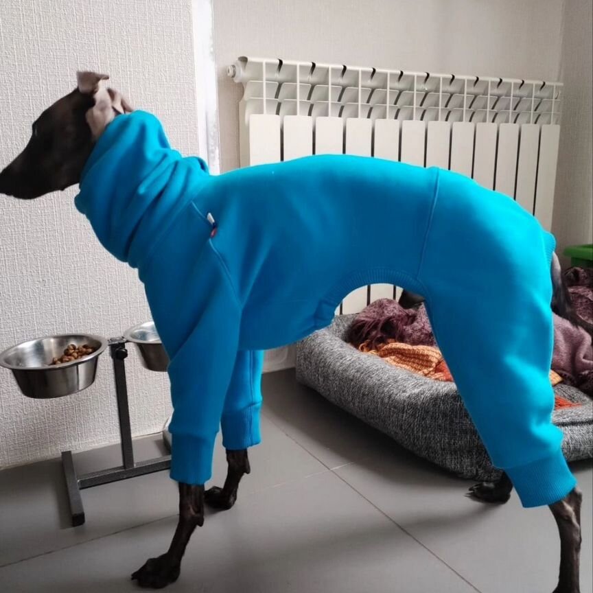 Комбинезон на левретку из футера 3х нит