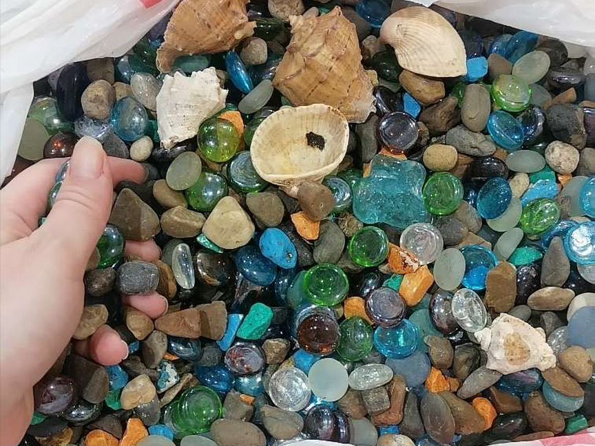 Кумушки для аквариума