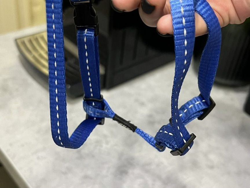 Шлейка rogz для маленькой собаки