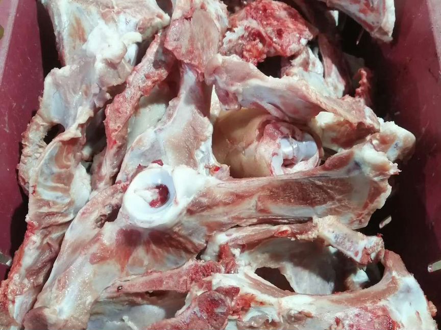 Кости свиные для собак