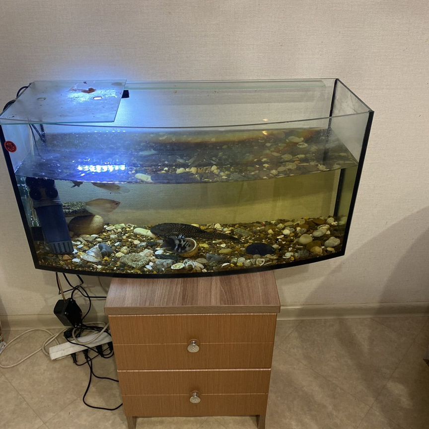 Аквариум с тумбой бу 70 литров