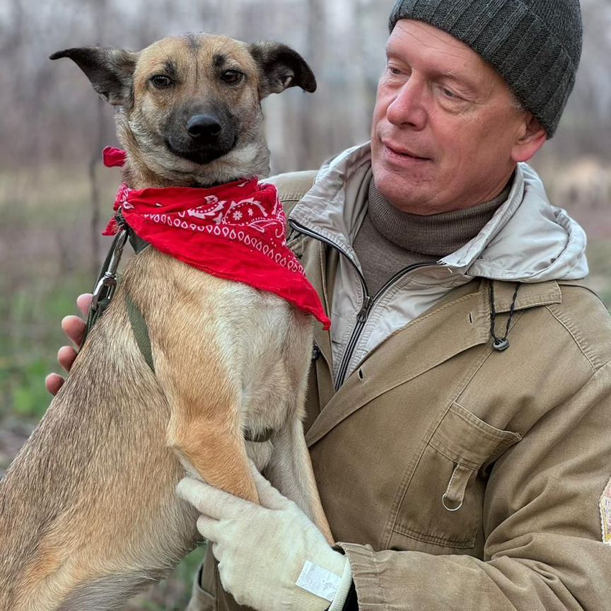 Короткошерстной собачке холодно в приюте