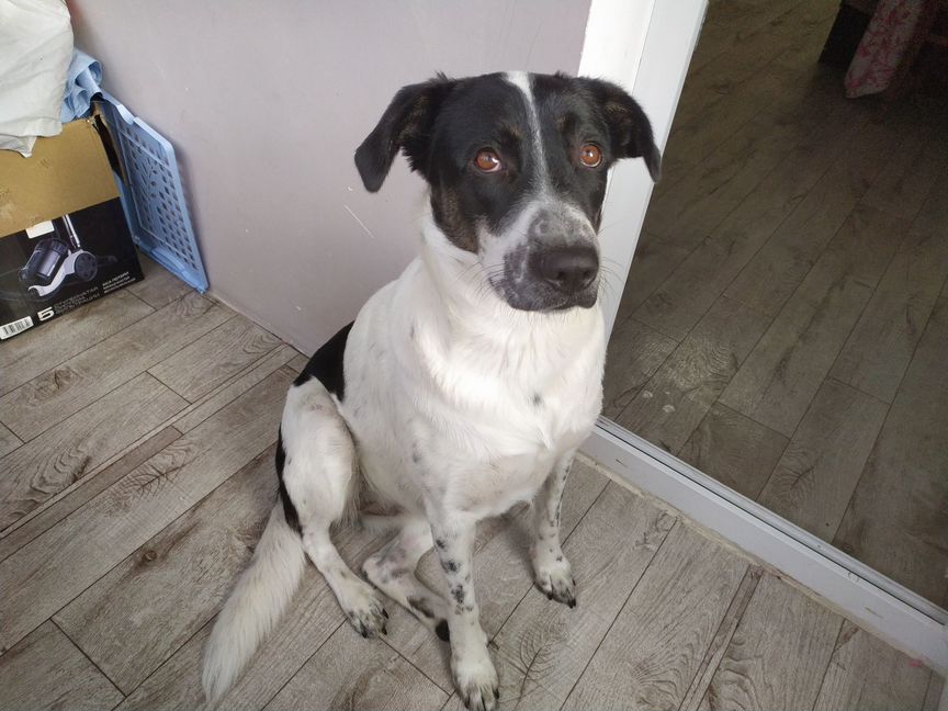 Возьмите девочку