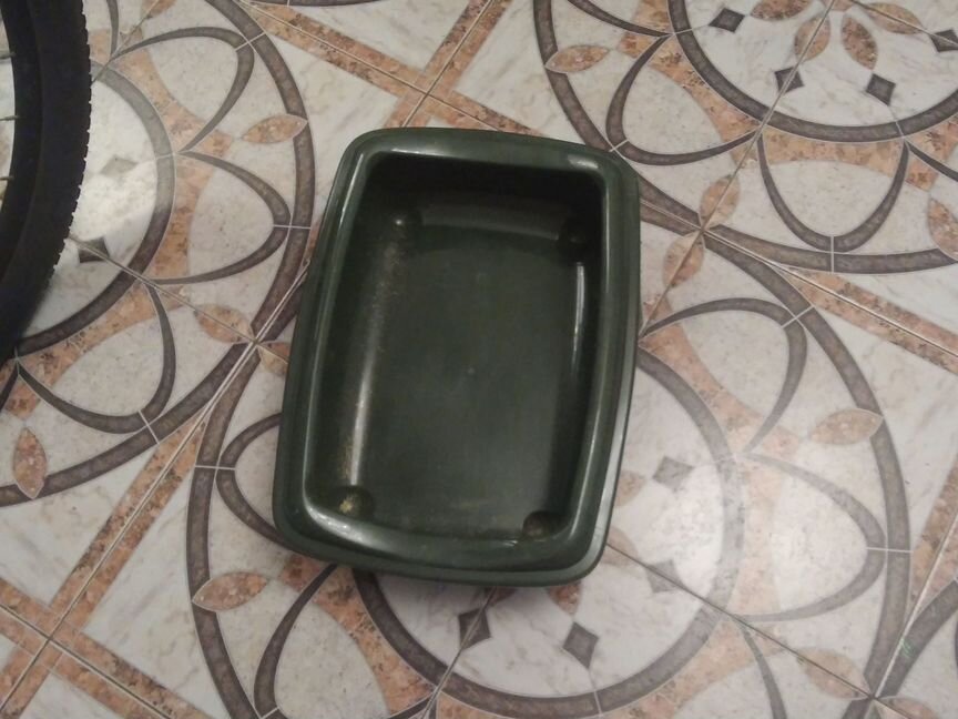 Кошачий лоток