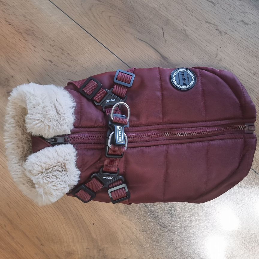 Одежда для собак мелких пород s