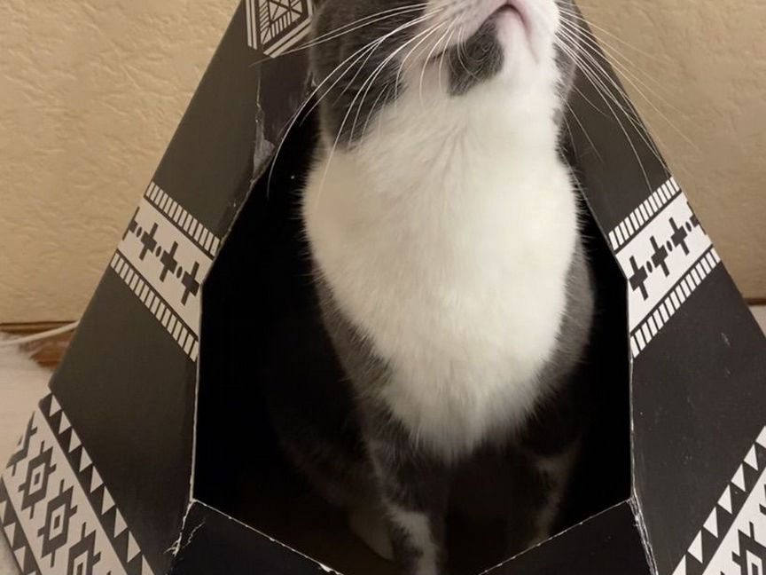 Домик вигвам для кошки