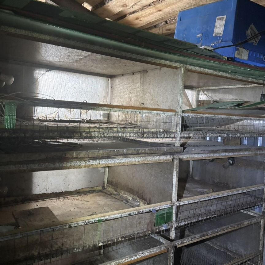 Продам брудер