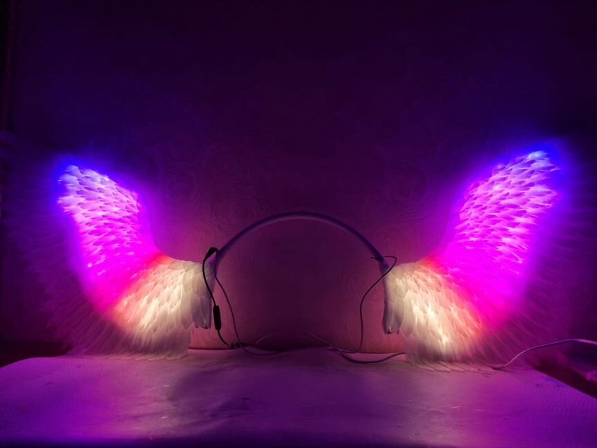 Крылья и рога для пони и лошадей амуниция