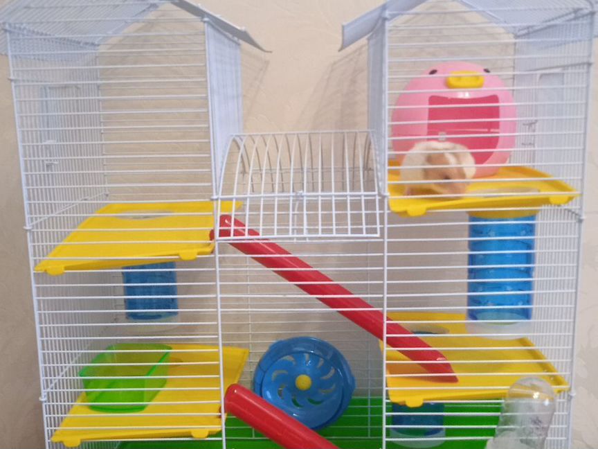 Клетки большие для хомяка(хомяки)