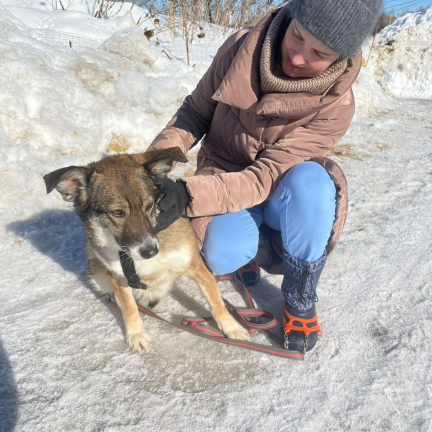 Собака с незабываемым характером