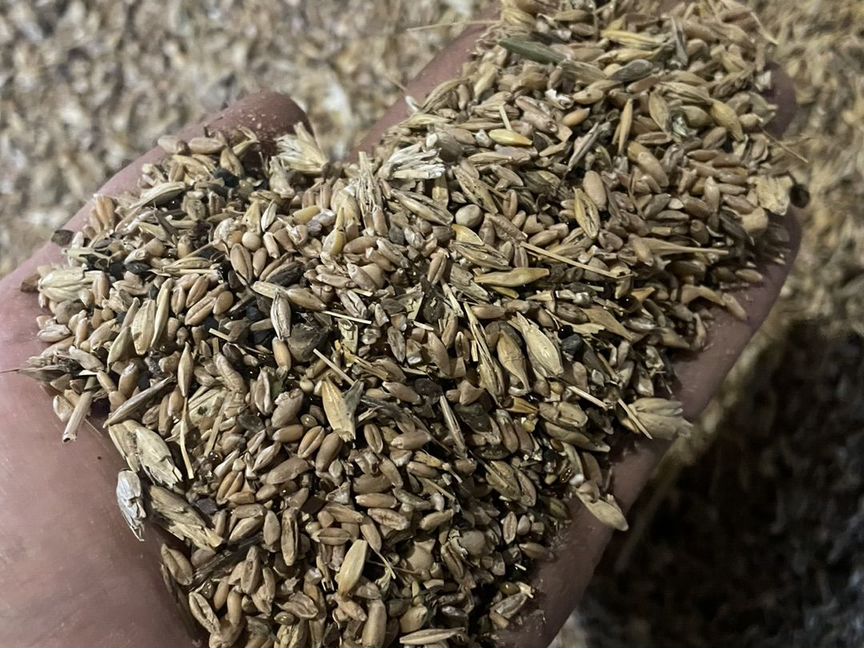 Зерновые отходы