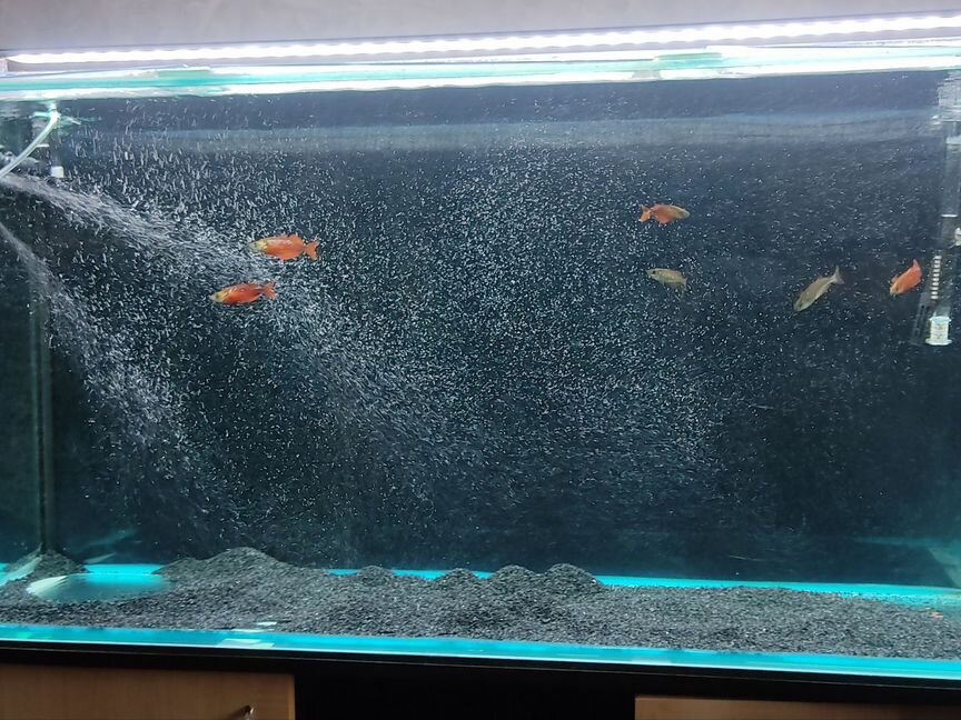 Аквариум, фильтр aquael, светильник chihiros