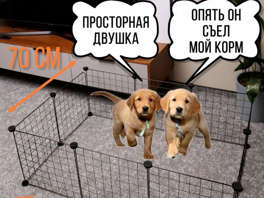 Загон для собак