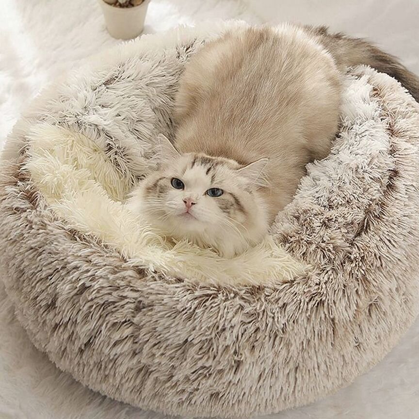 Домик лежанка для кошки