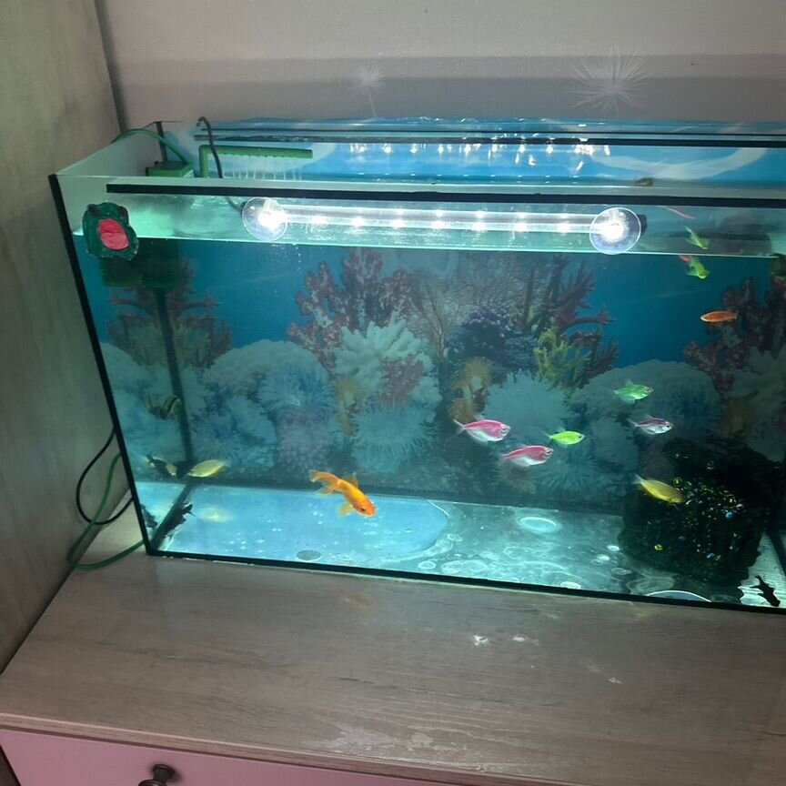 Аквариум с рыбками
