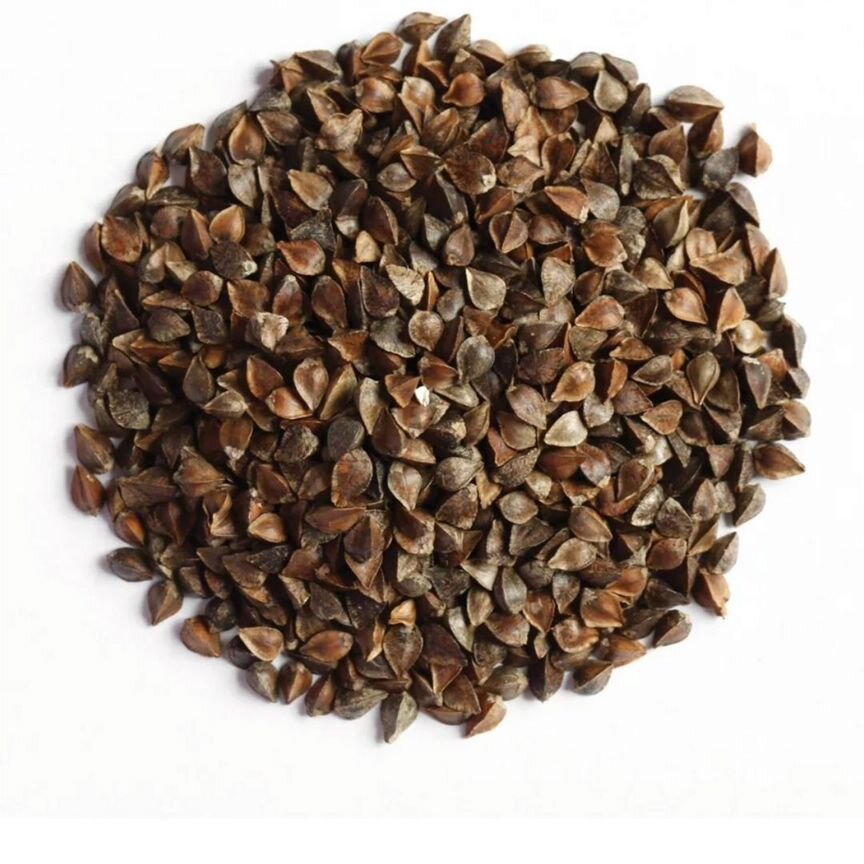 Гречневая лузга