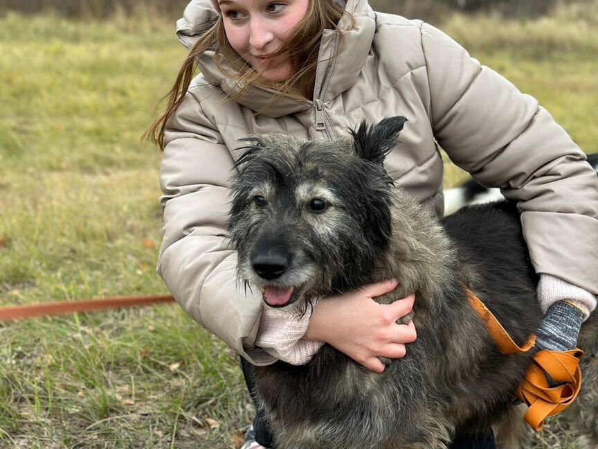 Добрейший старичок из приюта надеется найти дом