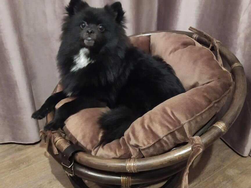 Лежанка - папасан