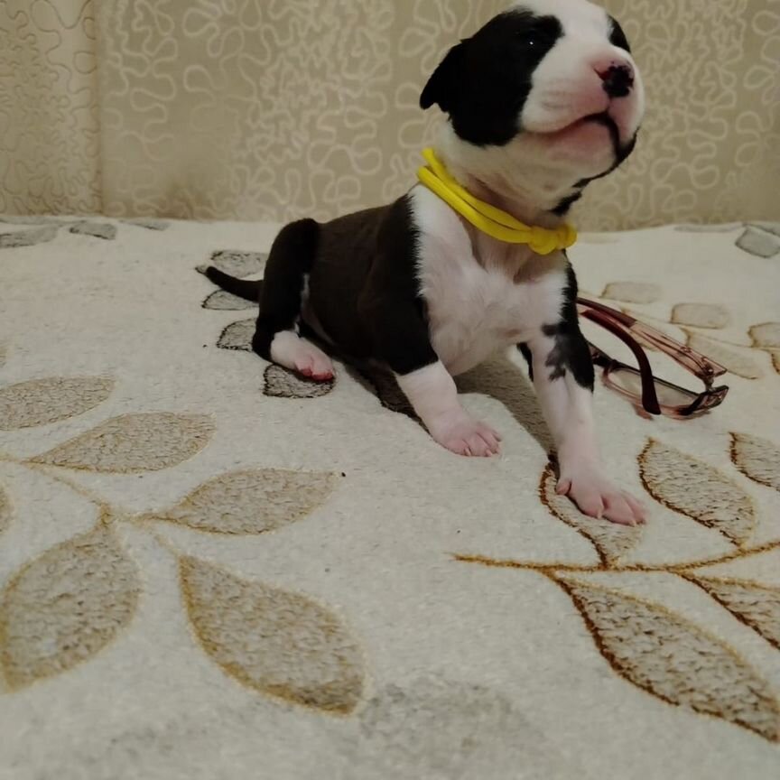 Суперская девочка