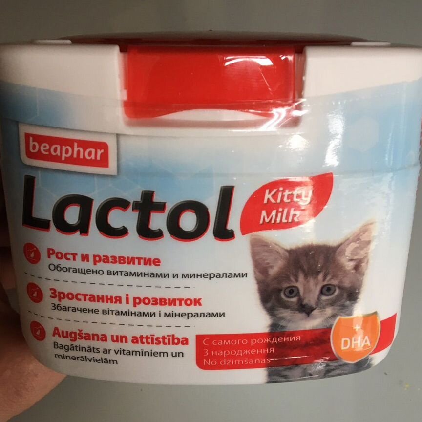 Сухое молоко для котят