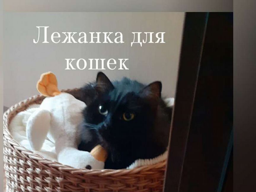 Плетеная лежанка для кошек