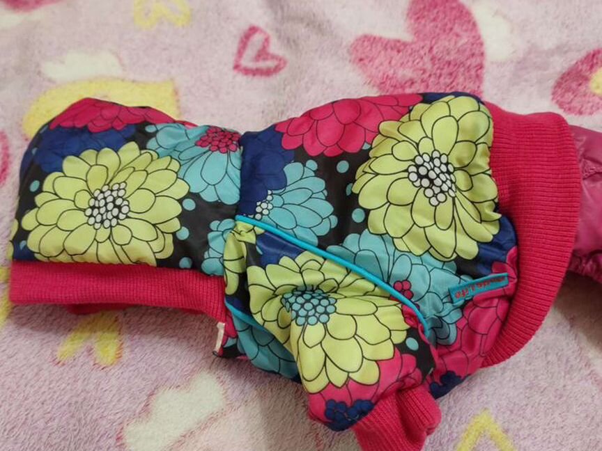 Костюм для собачки