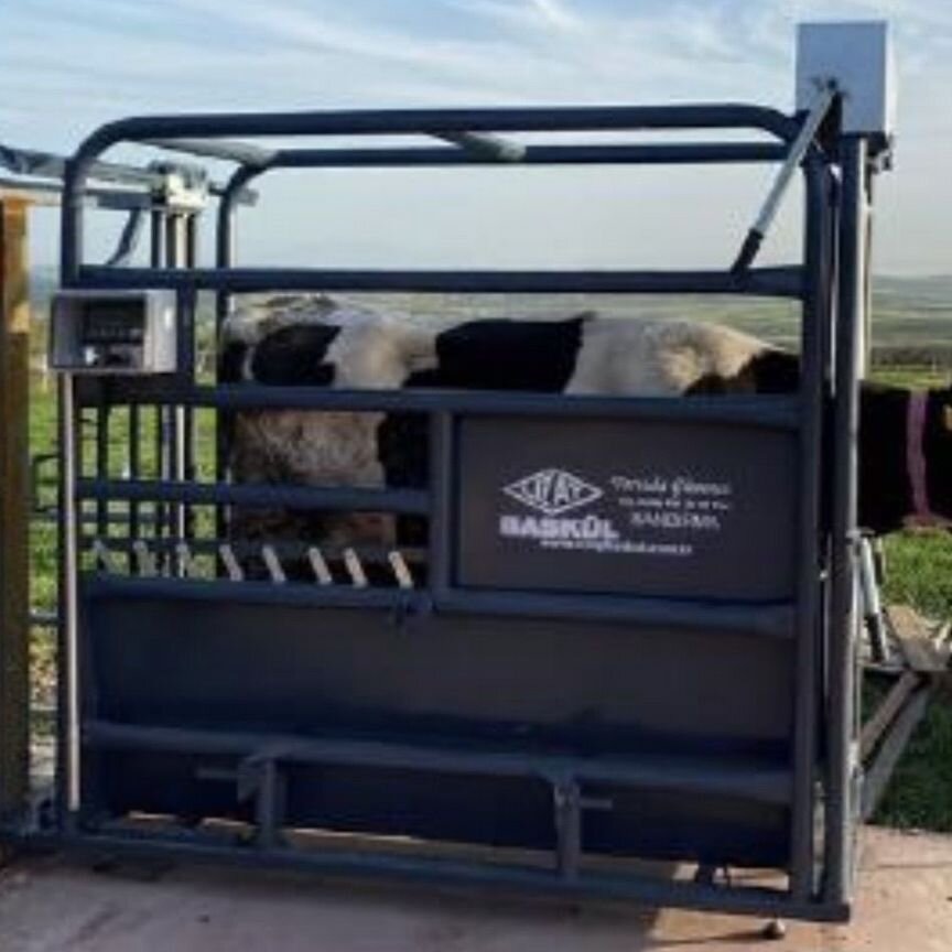 Весы для животных UZE-P 1500 promax (Турция)