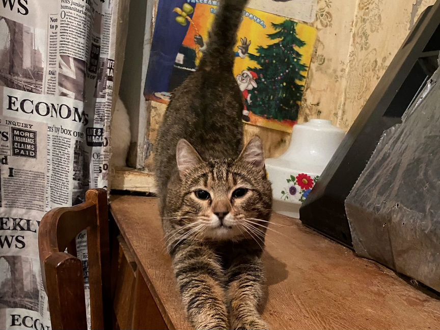 Мистер Ричи ищет дом