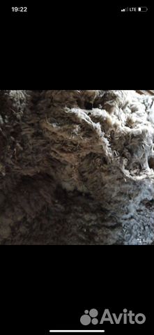 Шерсть овечья Горная Белая