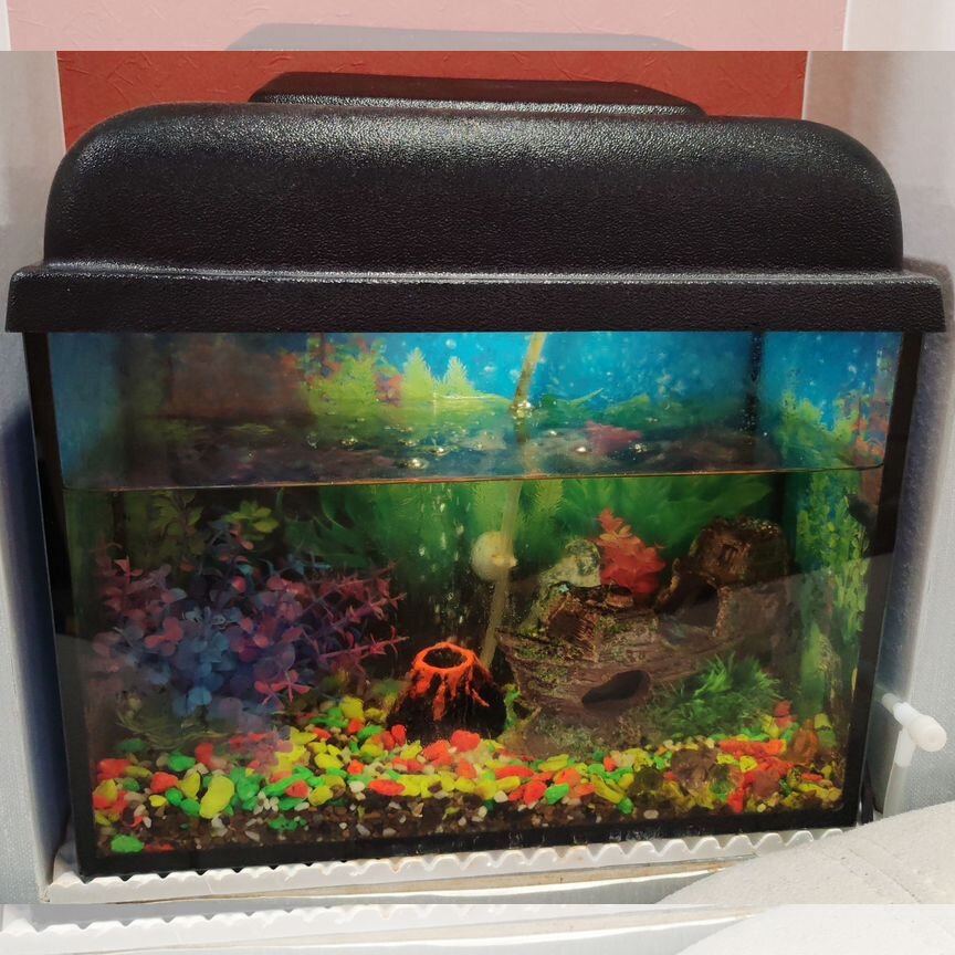 Аквариумы с рыбками 33/30/16 2 штуки