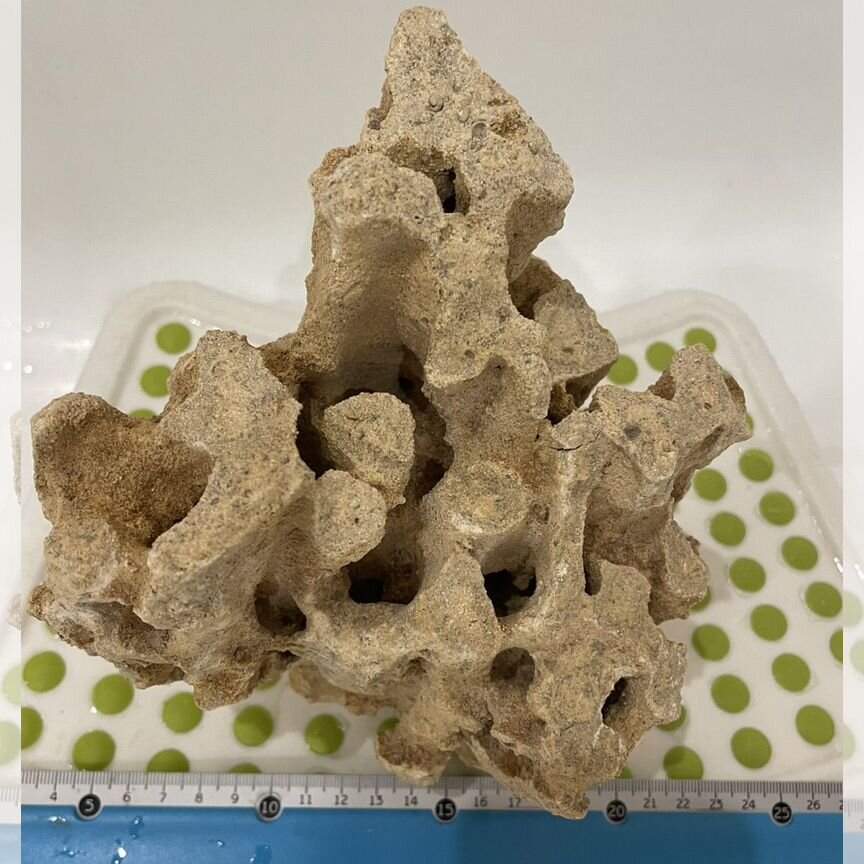 Песчаник для аквариума