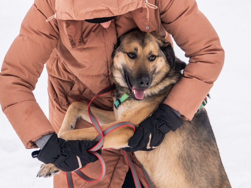 Жак ищет семью