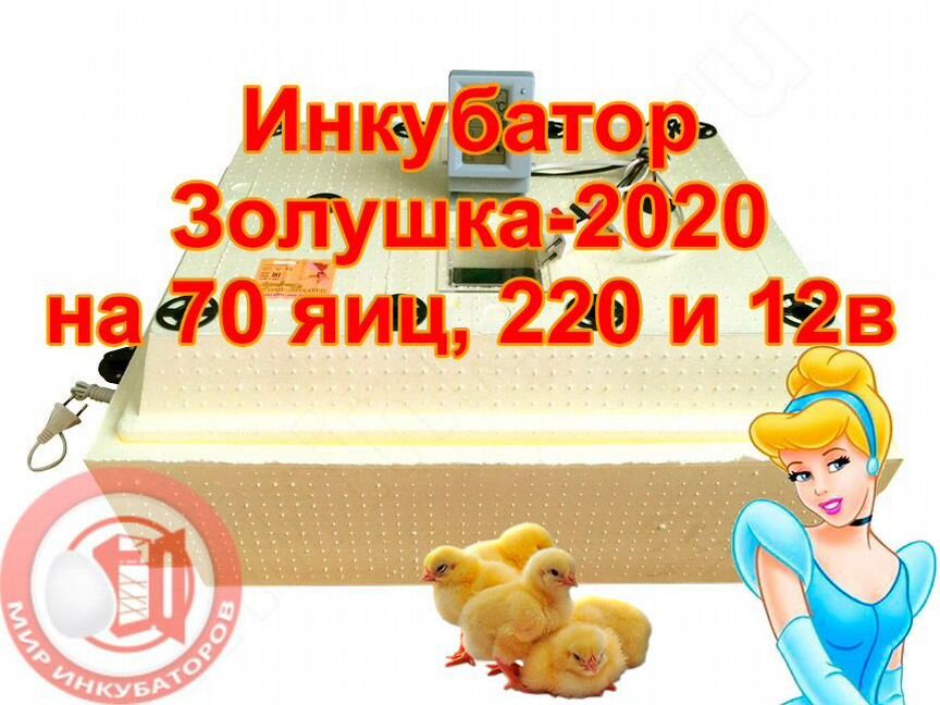 Инкубатор
