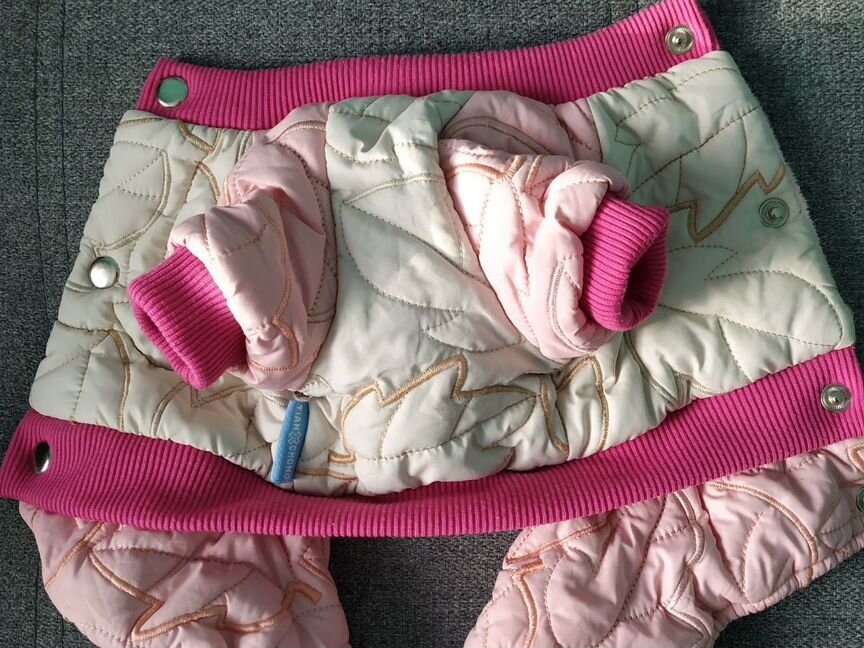 Одежда для маленьких собак