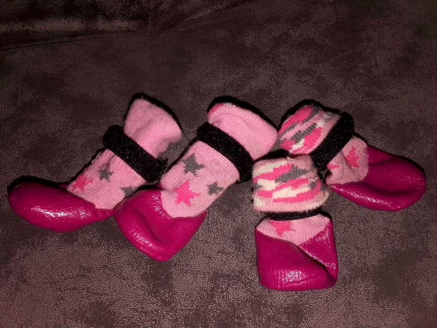 Носочки для собак