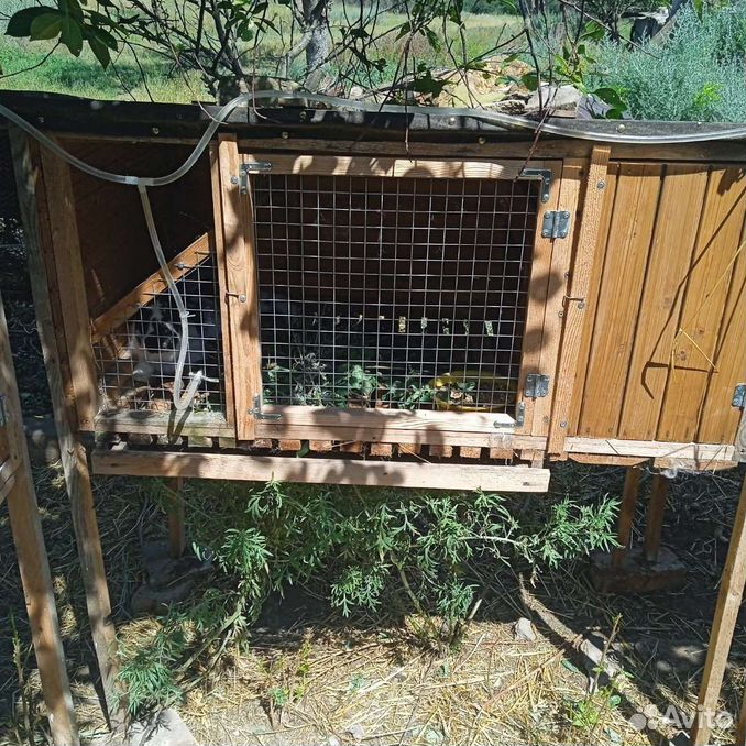 Клетка, крольчиха с крольчатами