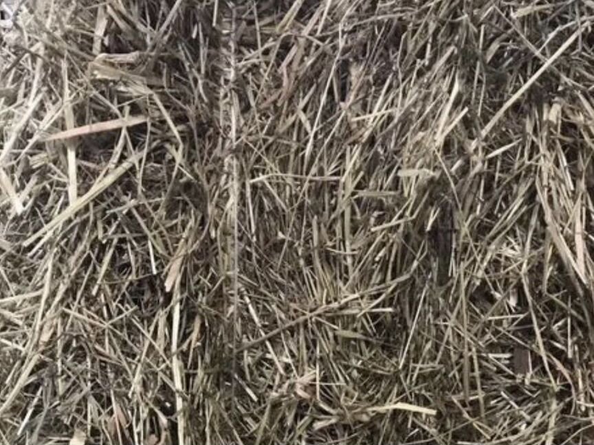 Сено на подстилку