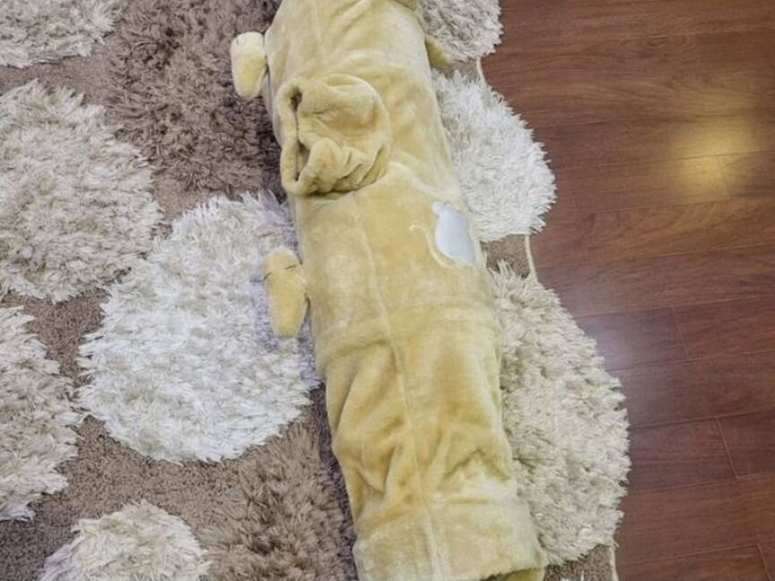 Игровой тунель для кошек, маленьких собак
