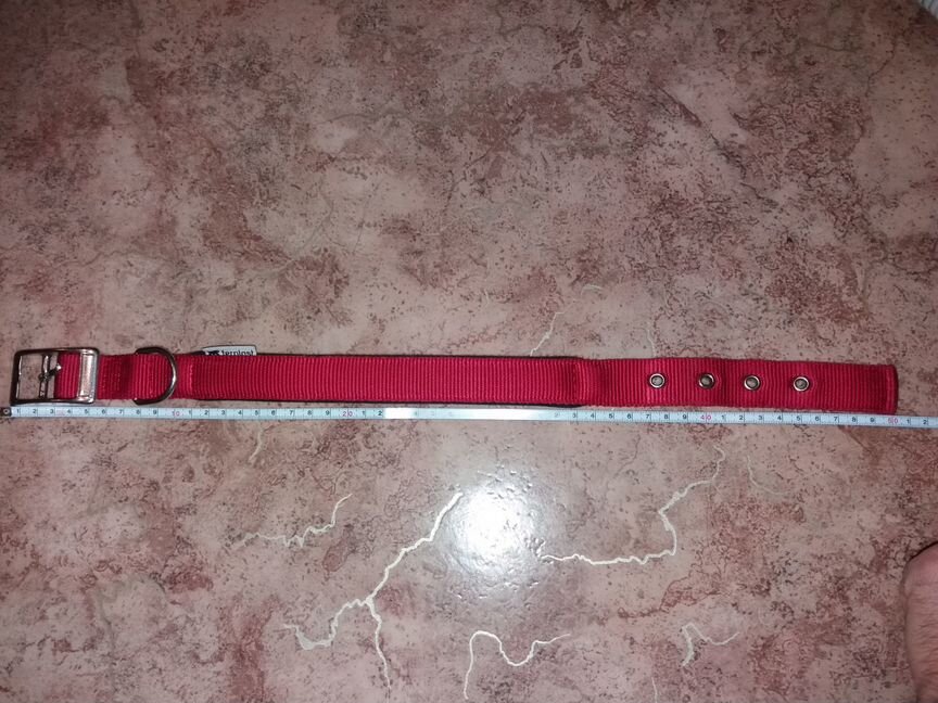 Принадлежности для собак