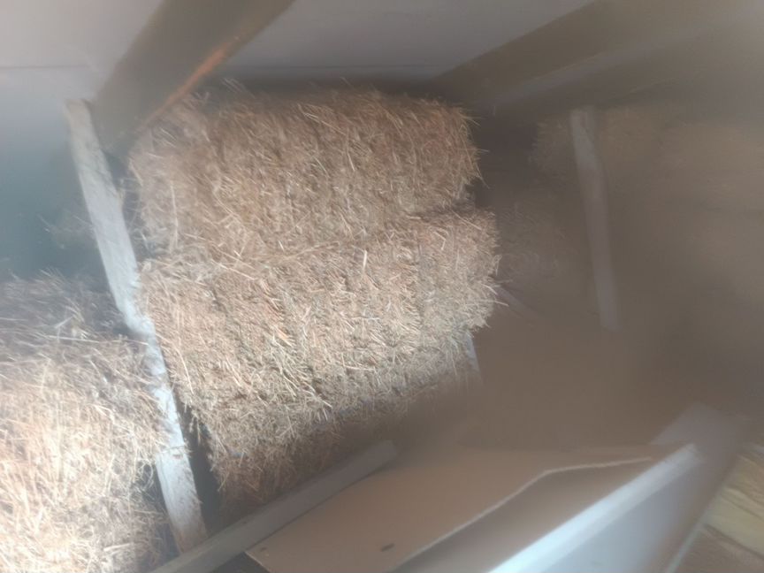 Сено люцерны в тюках