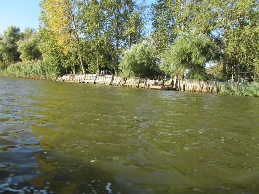 Корм для животных