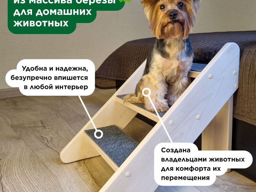 Лестница для собак